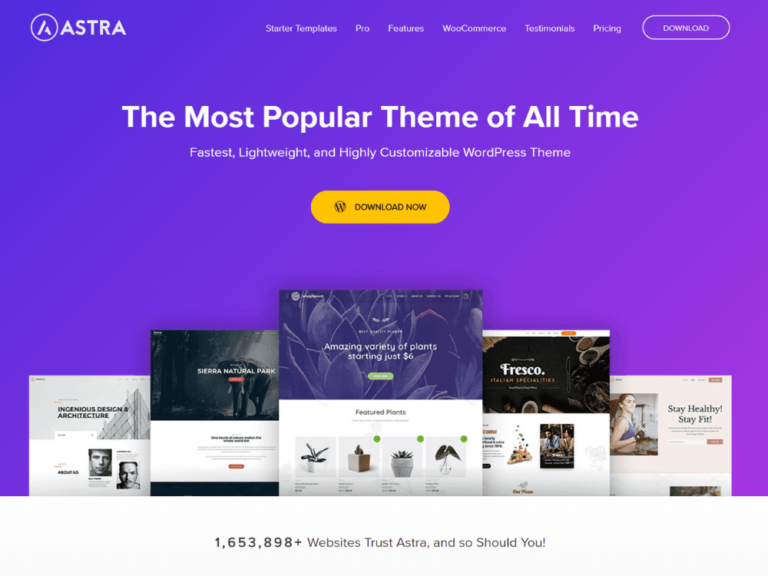 Free WordPress Themes You Need to Check Out – Themeum